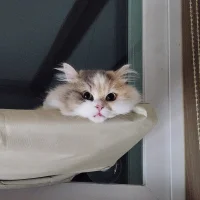 딸과 손잡는다는건~~~ - Nuuthang